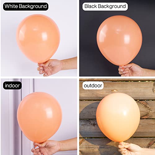 Snapklik.com : Peach Balloons, 50 Pcs 12 Inch Peachy Pink Balloons ...