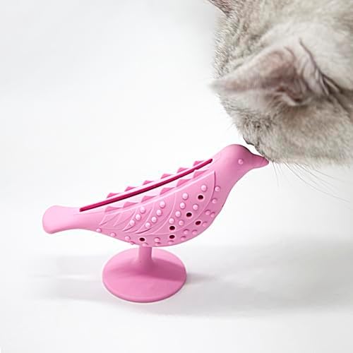Amazon.com : Mooipur Cat Teething Toys for Kittens, Treat Dispenser for ...
