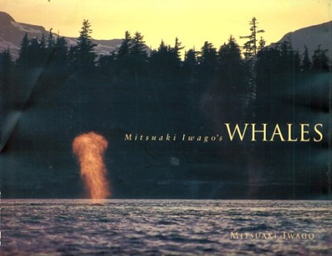 Mitsuaki Iwago's Whales: Iwago, Mitsuaki: 9780811805858: Amazon.com: Books