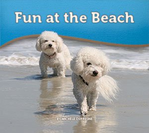 Fun at the Beach: Michele Dufresne: 9781584538028: Amazon.com: Books