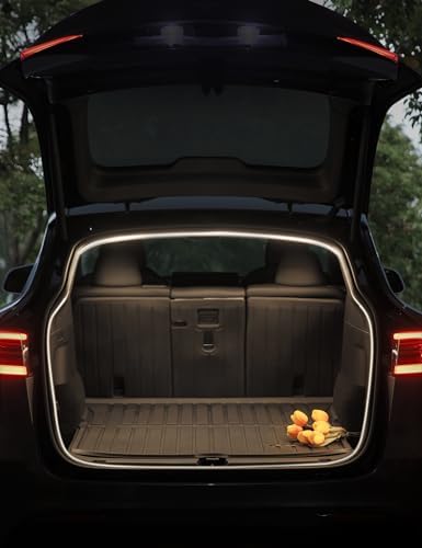 Amazon.com: Uxcer Tesla Model 3/Y Interior Neon Lights for Dashboard ...