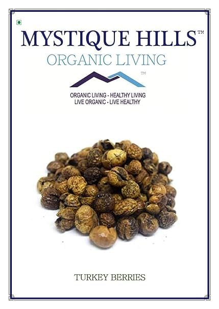 Amazon.com : KD Dried Turkey Berries, Sundakkai Vathal.500 g : Health ...