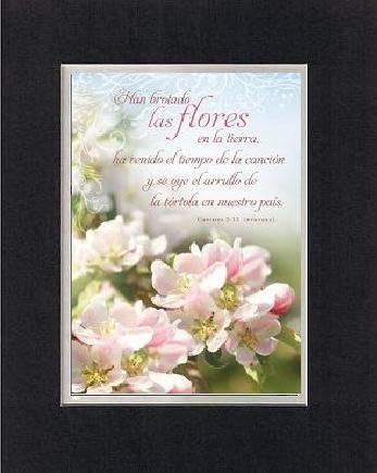Amazon.com: Spanish Bulletin - Han brotado las flores en la tierra, ha ...