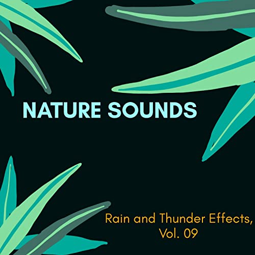 Play Nature Sounds - Rain and Thunder Effects, Vol. 09 by VARIOUS ...