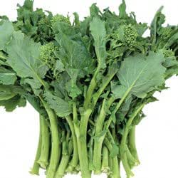 Amazon.com : Broccoli Cima di Rapa Vegetable & Herb Seeds By Thompson ...