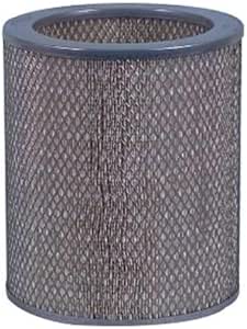 Amazon.com: Fleetguard Air, Primary Filter AF253 : Automotive