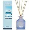 Amazon.com: Cocorrína Reed Diffuser - Ocean Breeze 6.76oz Diffuser with Sticks Home Fragrance ...