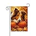 Amazon.com : HILILIAN Shetland Sheep-Dog Leaning Over The Pumpkins ...