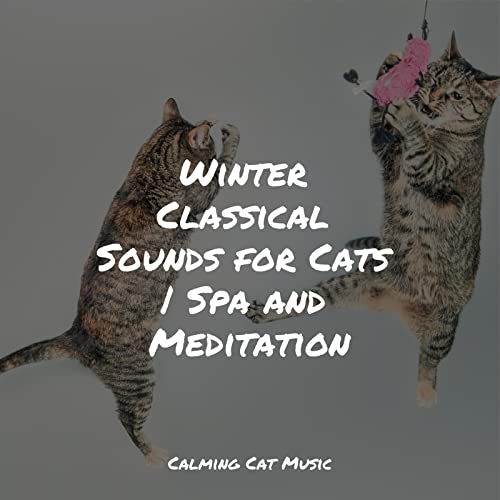 Écouter Winter Classical Sounds for Cats | Spa and Meditation par Jazz ...