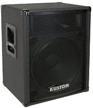 Amazon.com: Kustom KSC Series Speaker Enclosure, 15 : Musical Instruments