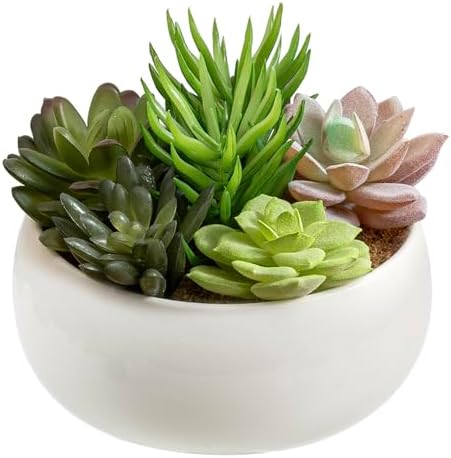 Amazon.com: Nattol 8 Inch Round Modern Artificial Succulent Plant Arrangement, Assorted Fake ...