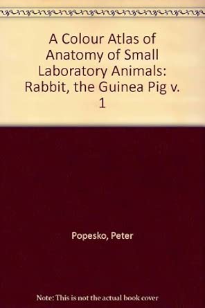 A Colour Atlas of the Anatomy of Small Laboratory Animals: Rabbit ...