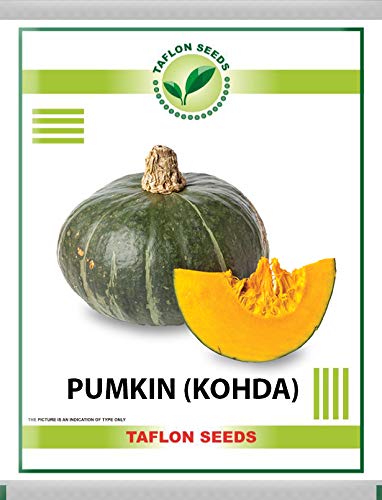 Vegetable Seeds ® Pumpkin Yellow/Kohda indian Vegetable Seeds to grow ...