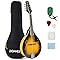 Donner A Style Mandolin Instrument Sunburst Beginner Adult Acoustic ...