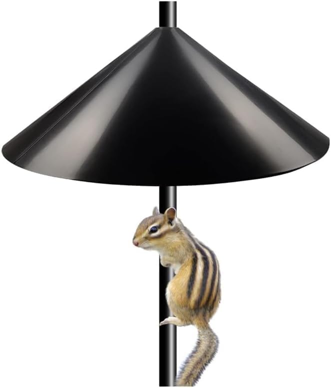 Amazon.com : MENGGUL Squirrel Proof Baffle, Squirrel Guard Stopper for ...
