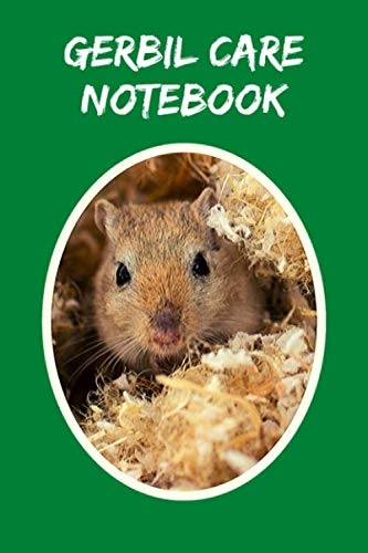 Gerbil Care Notebook: Kid-Friendly Formatted Daily Gerbil Log Book ...