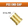 Amazon.com: SUNGATOR Pex Fittings 3/4 Inch, 6-Pack 3/4" Pex Plug End ...