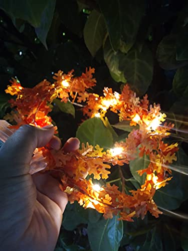 Amazon.com: 2pcs Mini Lighted Fall Leaves Garland 6ft Length Each with ...