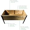 Amazon.com : Backyard Expressions Raised Garden Bed, Elevated Wood ...