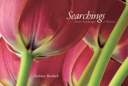 Amazon.com: Searchings: 9780941807746: Bordnick, Barbara: Books