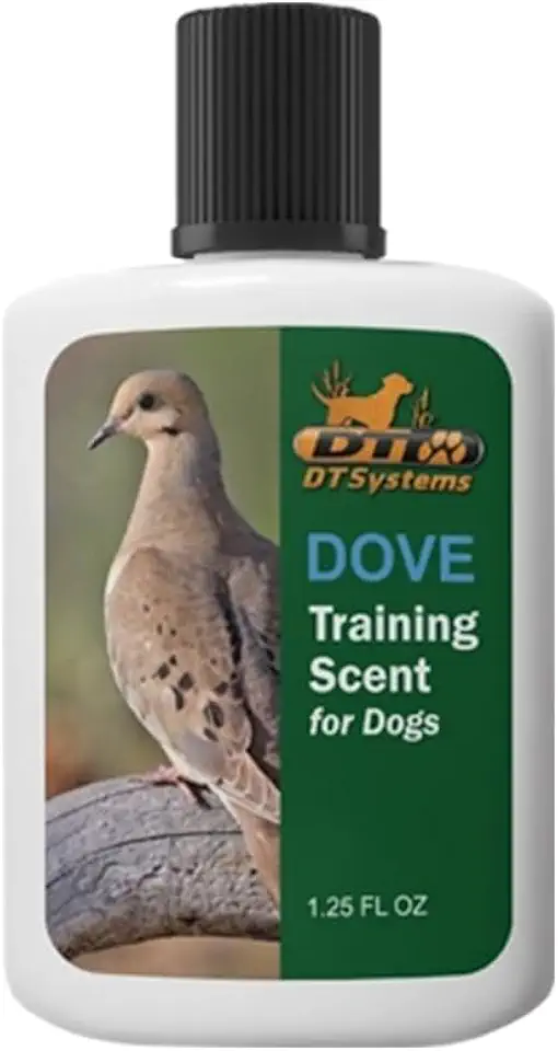 How To Create An Ideal Dove Field For Hunting And Conservation | PetShun