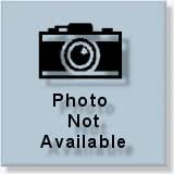 Amazon.com : Foil Blade - Fleche Electric Bare : Sports & Outdoors