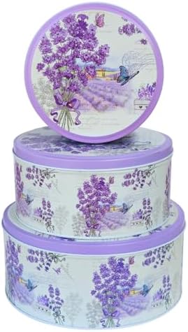 Amazon.com: Coloch 2 Pack Tin Cookie Snack Jars with Lid, Metal Biscuit ...