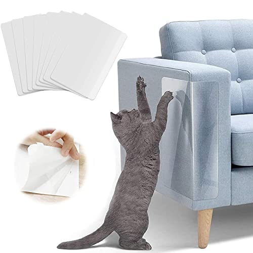 Amazon.ca Les meilleures ventes: Les articles les plus populaires dans ...