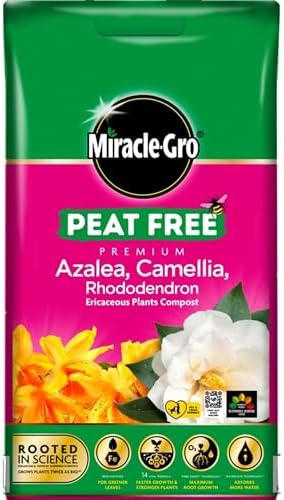 Miracle-Gro Peat Free Azalea Camellia Rhododendron Ericaceous Potting ...
