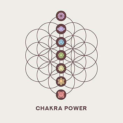 Amazon.com: Chakra Power: Music for Healing, Therapy, Cleansing and ...