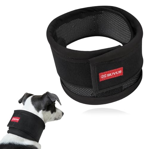 Dog Neck Brace – The 15 best products compared - Wild Explained