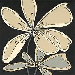 Eurographics DEH1020 Art Print Oxygen Flower Burst by Debbie Halliday ...