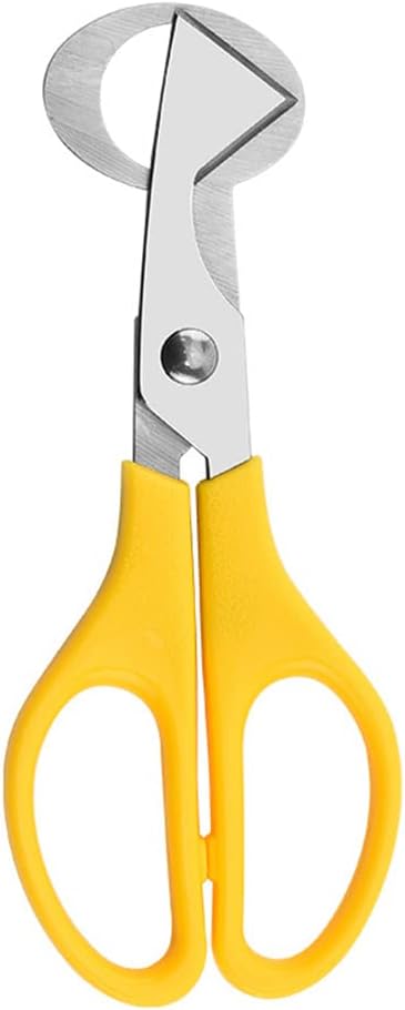 Amazon.com: Stainless Steel Quail Egg Scissors - Egg Slicer Pigeon ...