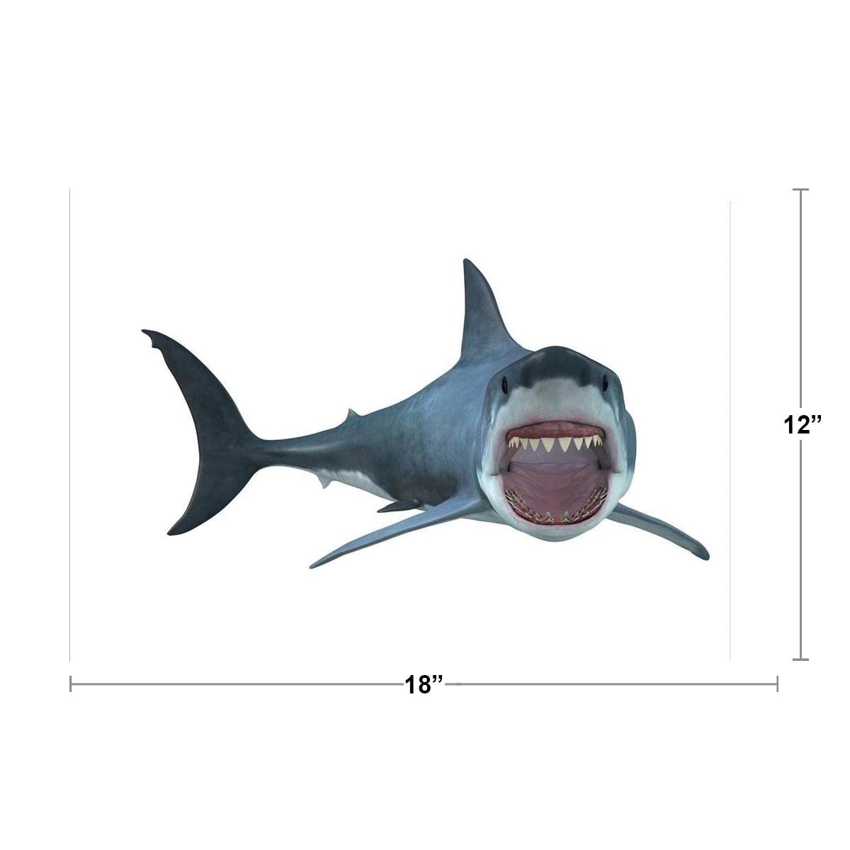 Shark Jaws Great White Body