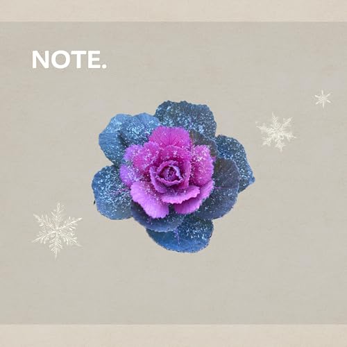 NOTE.#12 – Frost Glow | Chill House for a Winter Morning Vibe by NOTE ...