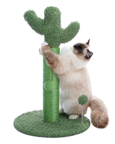 Cactus Scratching Post – The 15 best products compared - Wild Explained