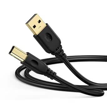 Amazon.com: USB Printer Ca ble 10 Feet,Ethernet Printer Cable USB A to ...