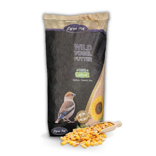 Die Top 11 der besten getrockneten Maise im Überblick - Ratgeber