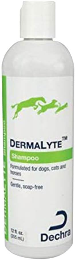 Amazon.com: DechraTopical DermaBenSs Shampoo for Dogs, Cats & Horses ...