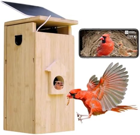 Amazon.com: FlowaFoli Smart Bird House with Camera,3MP HD Birdhouse ...