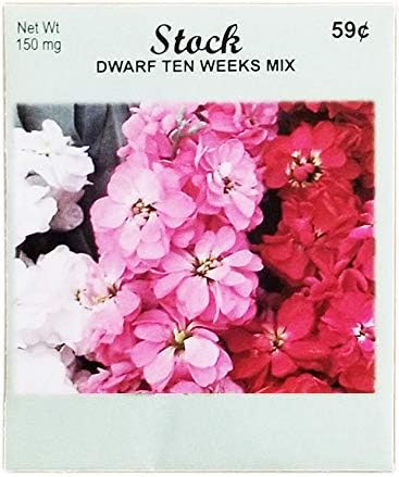 Amazon.com : Set of 50 Flower Seed Packets! Flower Seeds in Bulk (50 ...