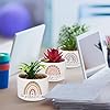 Amazon.com : Tioncy 9 Pcs Thank You Rainbow Succulent Pots with ...