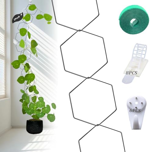 Amazon.com : Chain Trellis for Climbing Plants - Indoor & Outdoor House ...