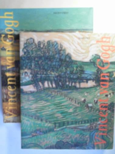 Vincent van Gogh: dessins & peintures: Johannes & others VAN DER WOLK ...