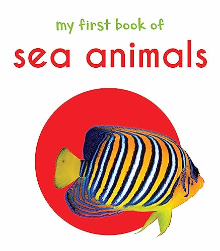 My First Book of Sea Animals eBook : Wonder House Books: Amazon.in ...