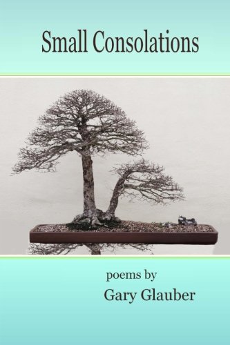 Small Consolations: Glauber, Gary: 9780692478516: Amazon.com: Books