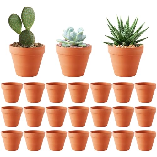 Mini macetas de barro: la elección perfecta para dar vida a tus plantas ...