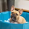 Petsona Foldable Dogs Pool With Balls, Dry Pets Foam Ball Pit, Soft ...