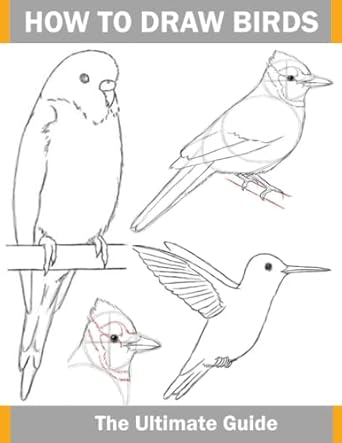 How to Draw Birds: The Step-by-Step Way to Draw Birds,Learn How to Draw ...