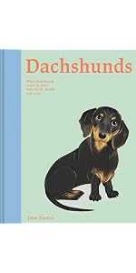 Whippets: What whippets want: in their own words, woofs and wags ...